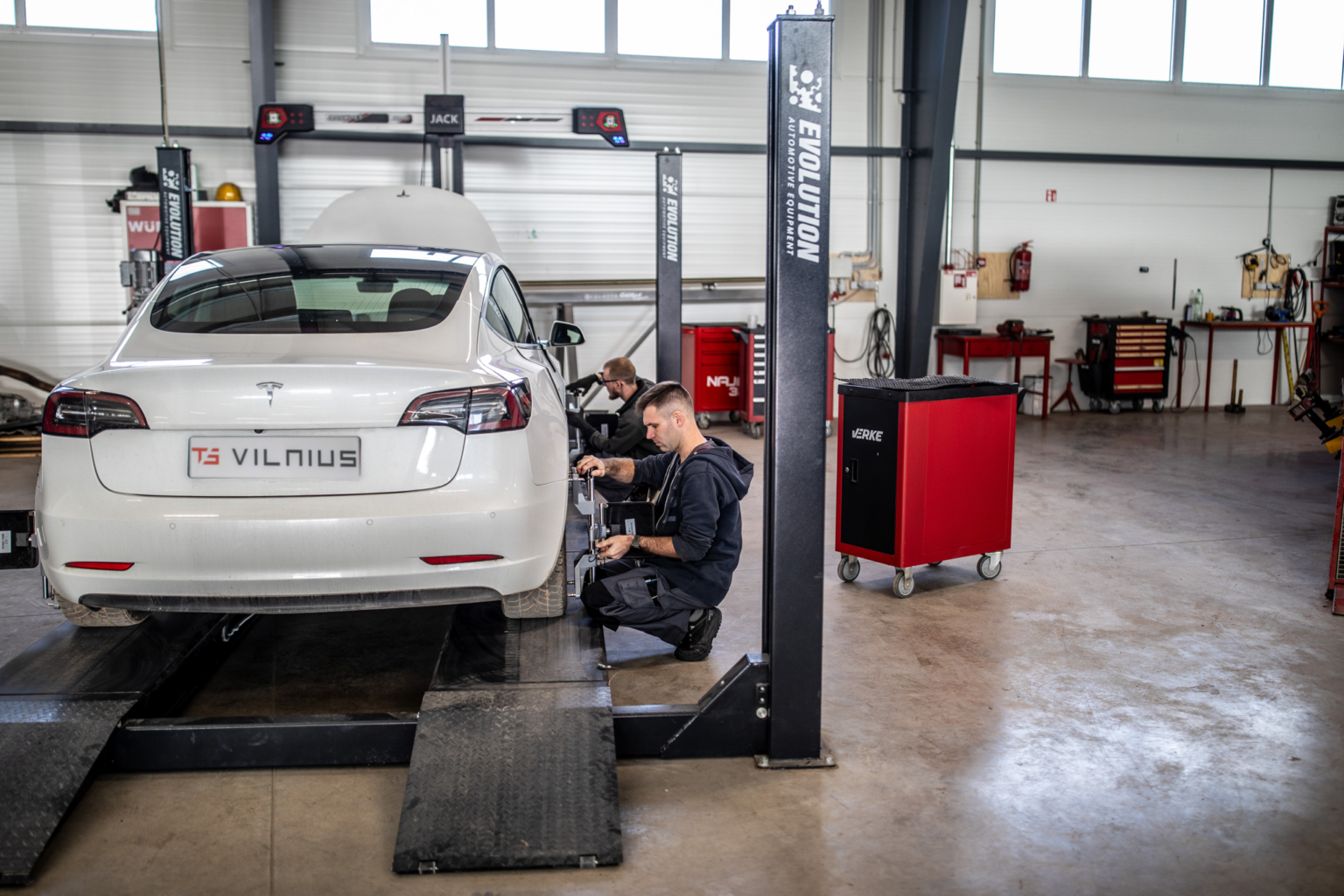 PAŽYMOS EKSPERTIZEI - TS Vilnius